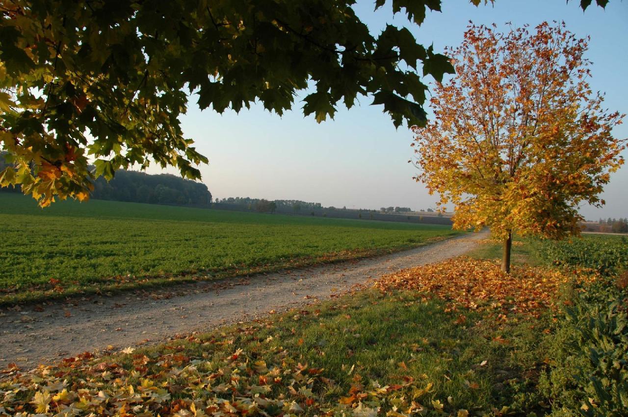 Obec - Oficiální stránky obce Tursko